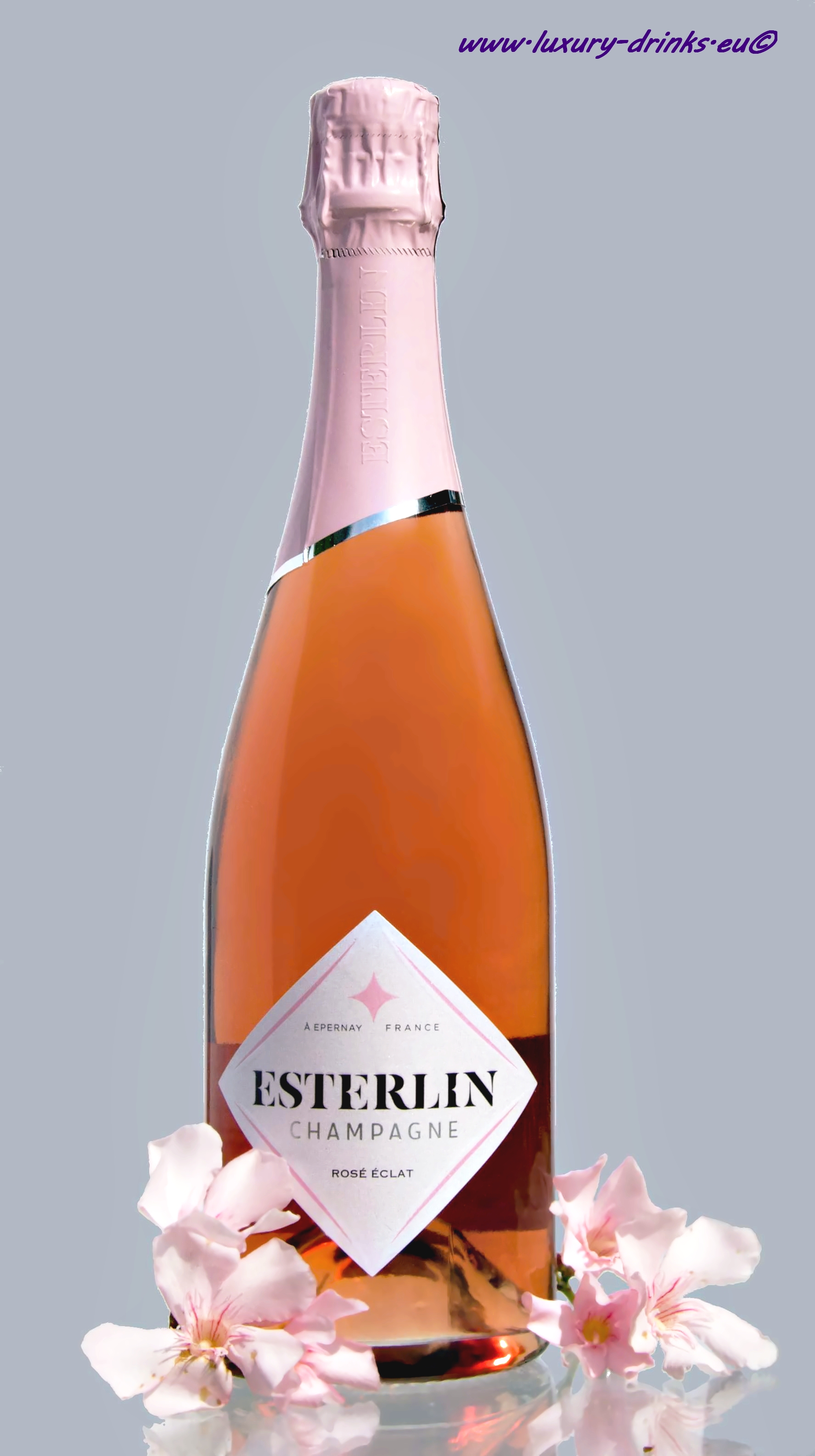 Champagne Ésterlin Rosé Éclat, 0,75 l 12% vol. alc. | Luxury Drinks