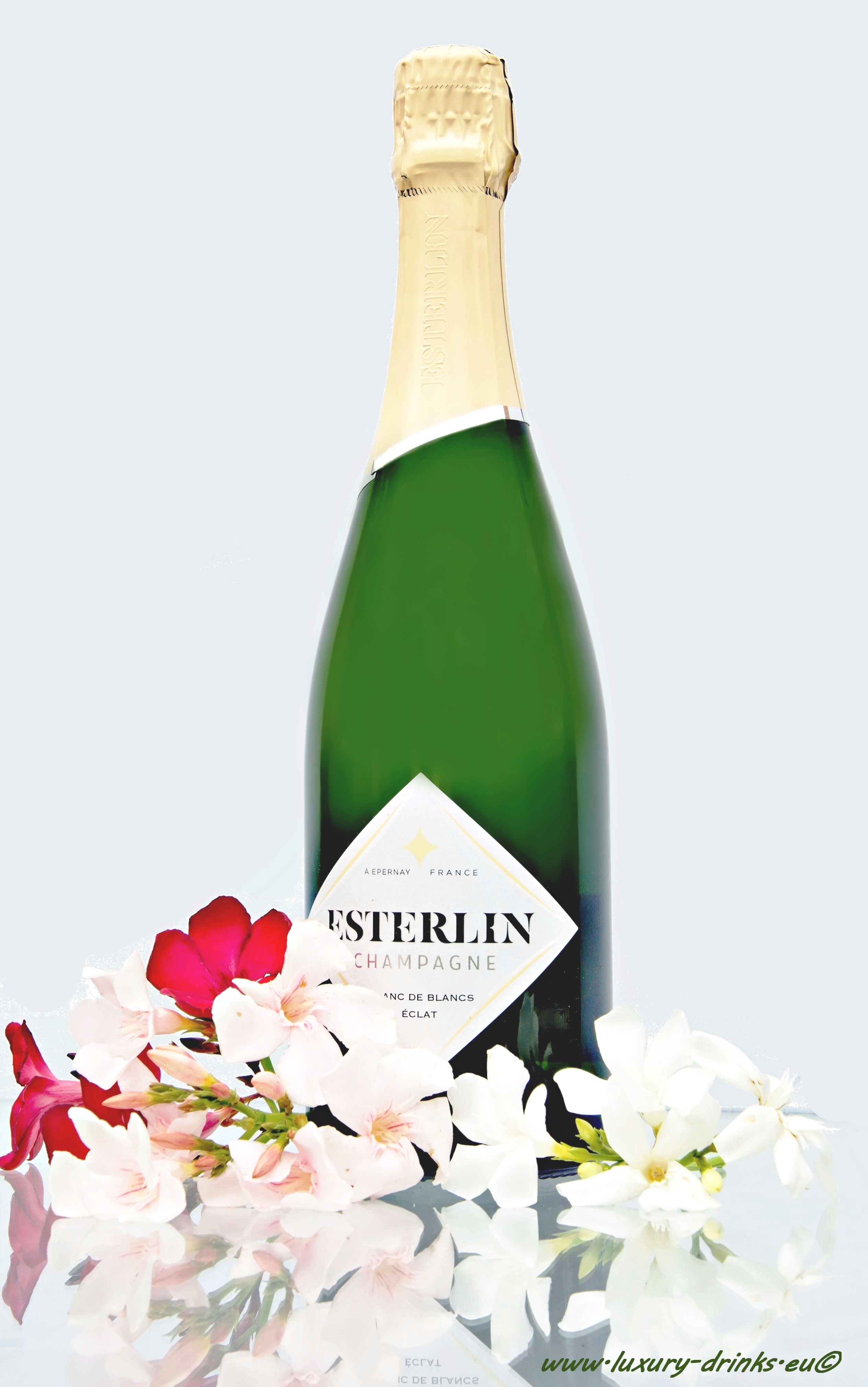 Champagne Ésterlin Blanc de Blancs, 0,75l 12% vol. alc. | Luxury Drinks
